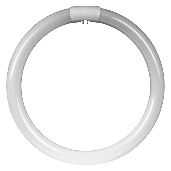Circular Fluorescent Bulb